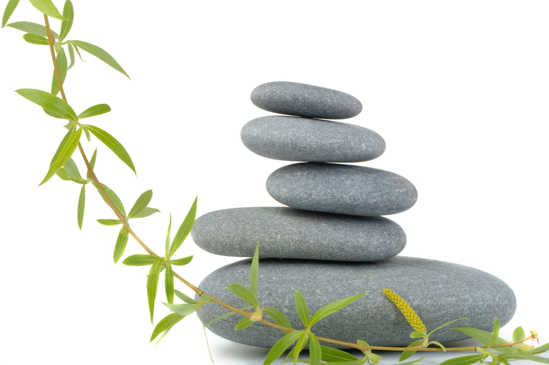 Willow & Stone – Willow & Stone